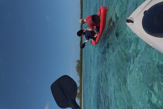 Sweetings Cay Mangrove Kayaking and Turtles - Who Will Love This Tour?