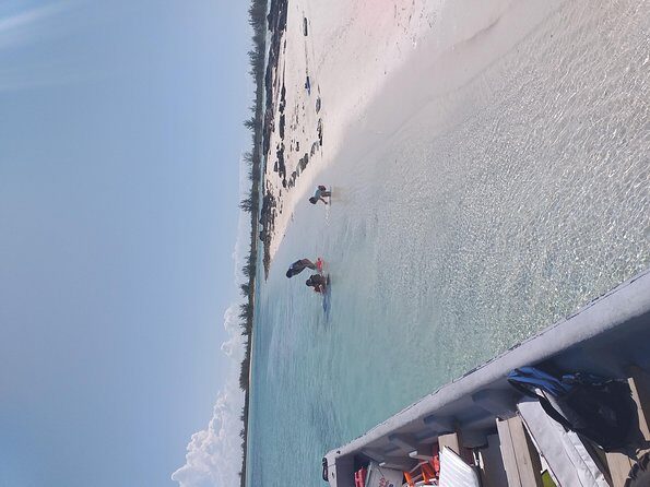 Sweetings Cay Mangrove Kayaking and Turtles - The Sum Up