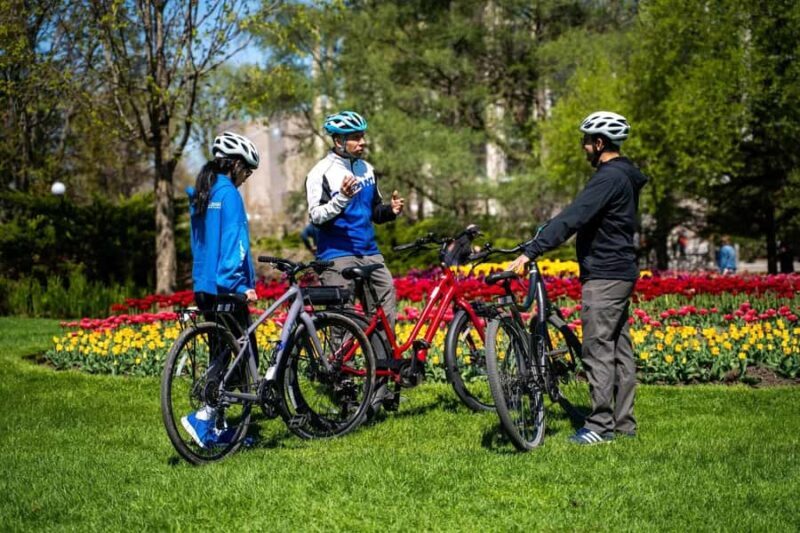 Swim and Bike River House/Rockcliffe - Authentic Guides and Reviews