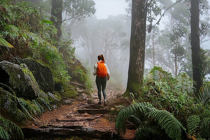 Swim, Explore & Identify Tropical Flora - An Authentic Puerto Rican Nature Escape