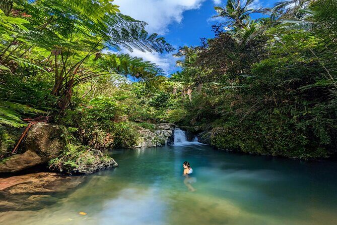 Swim, Explore & Identify Tropical Flora - What Travelers Can Expect from the Experience