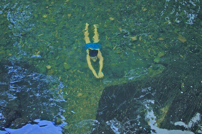 Swim, Explore & Identify Tropical Flora - Who Will Love This Tour?