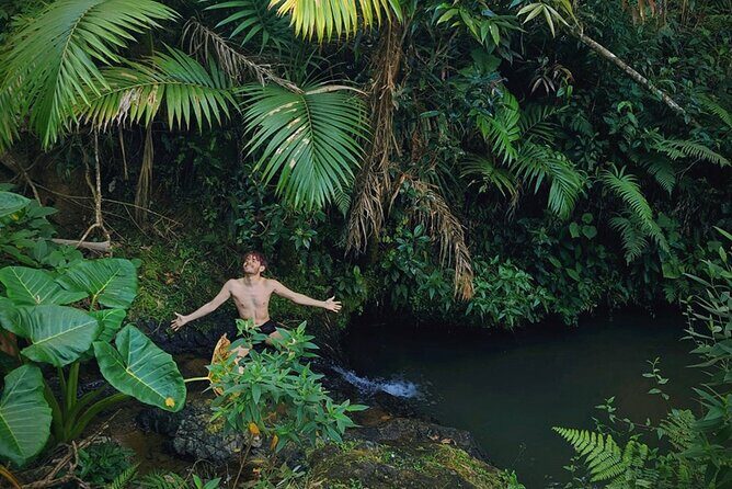 Swim, Explore & Identify Tropical Flora - FAQs