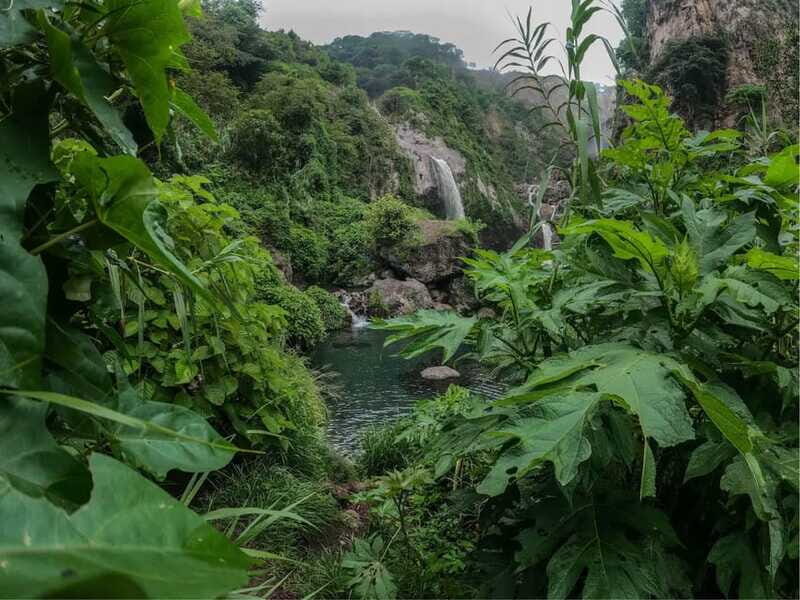 Swim in lush springs and waterfalls in Guadalajara - Who Would Enjoy This Tour?