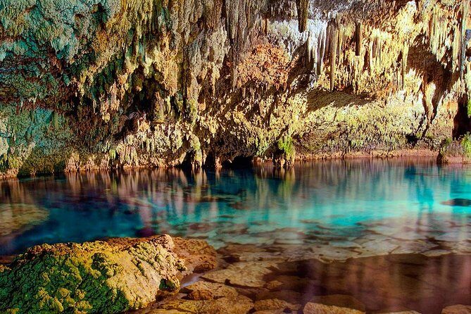Swim in the beautiful Yalku & Cenote, includes transport & guide - Discovering the Natural Wonders of Cancun: Yalku Lagoon and the Cenote Experience