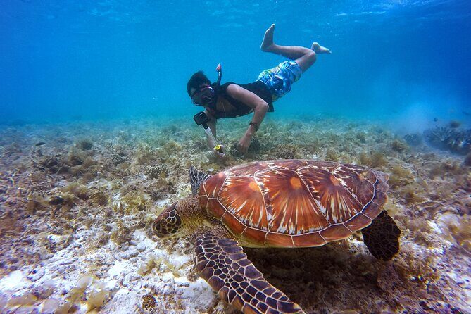 Swim & Reef Snorkeling Bonaire - A Full Look at the Swim & Reef Snorkeling Bonaire Experience