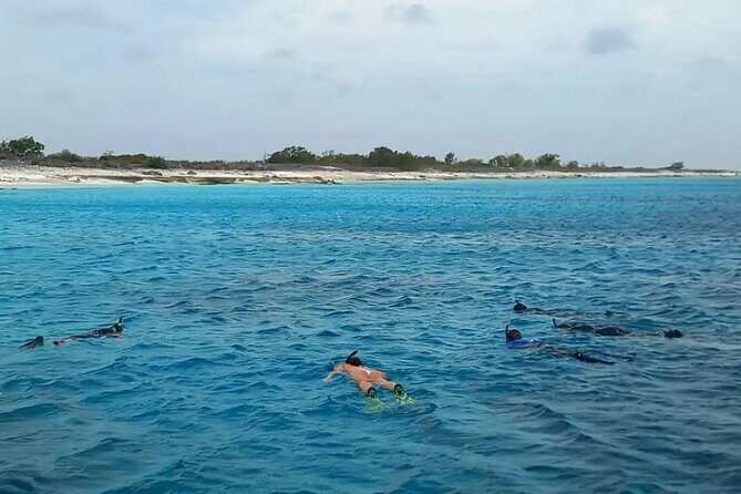 Swim & Reef Snorkeling Bonaire - Key Points