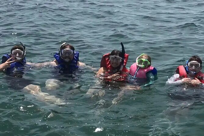 Swim with Dolphins And Snorkeling Group Tour - Who Will Love This Tour?