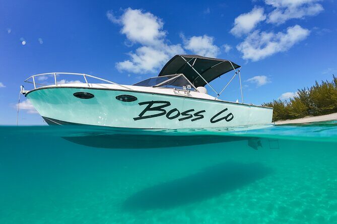 Swim with Famous Pigs at Rose Island - Key Points