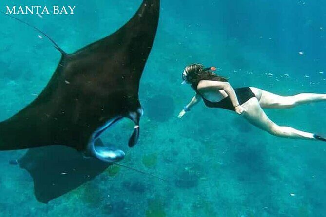 Swim With Manta Rays Nusa Penida Snorkeling - The Authentic Experience and What Travelers Should Know