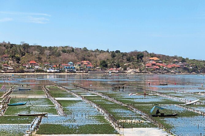 Swim With Manta Rays Snorkeling and Village Tour Lembongan - Practical Details: What Does the Tour Include?