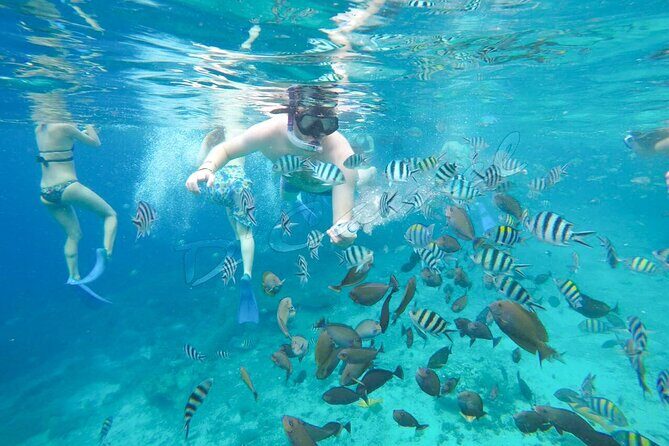 Swim With Manta Rays Snorkeling Nusa Penida - A Balanced Look at the Experience