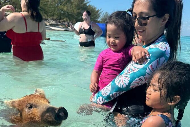 Swim with Pigs and Beach Snorkeling Adventure Rose Island Bahamas - Key Points