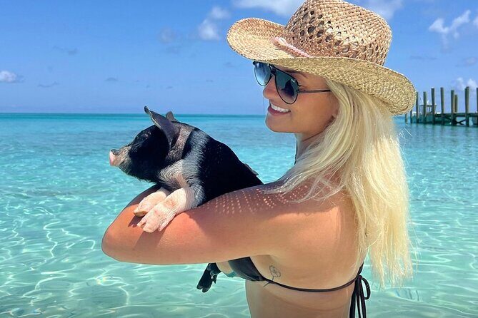 Swim with Pigs and Beach Snorkeling Adventure Rose Island Bahamas - Analyzing the Value
