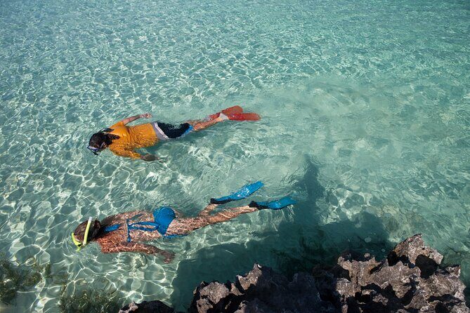 Swim with Pigs and Beach Snorkeling Adventure Rose Island Bahamas - Who Should Consider This Tour?