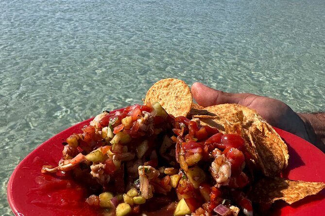 Swim with Sea Lions in La Paz - Final Thoughts