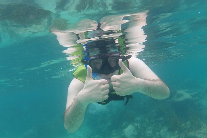 Swim with sea turtles - The Sum Up