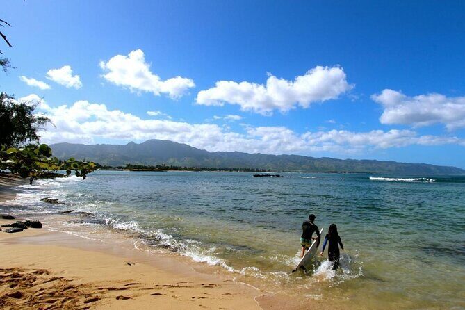 Swim with Sharks Cage-Free from Oahu - A genuine, detailed review of the Shark-Free Oahu Adventure