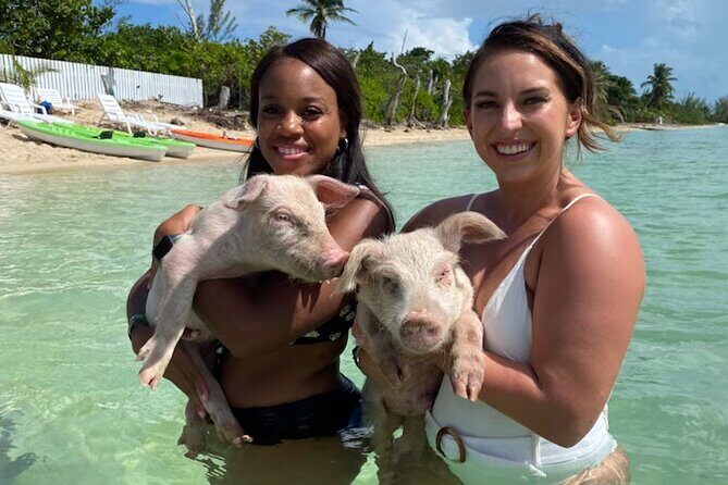 Swim with the Pigs and Explore Caves in Nassau - Practical Considerations