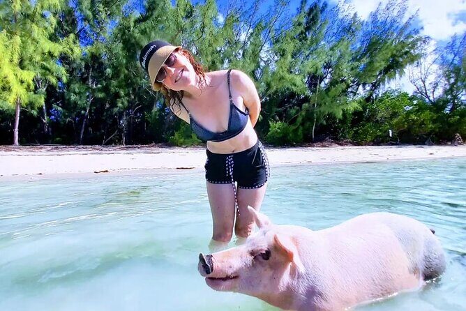 Swim with the Pigs and Explore Caves in Nassau - The Sum Up