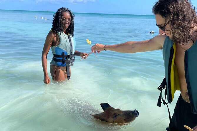 Swim with the Pigs Freeport @Creative Eco Adventures - Who Will Love This Tour?