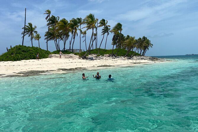 Swim with the Pigs Safari in Bahamas (2hrs) - FAQ