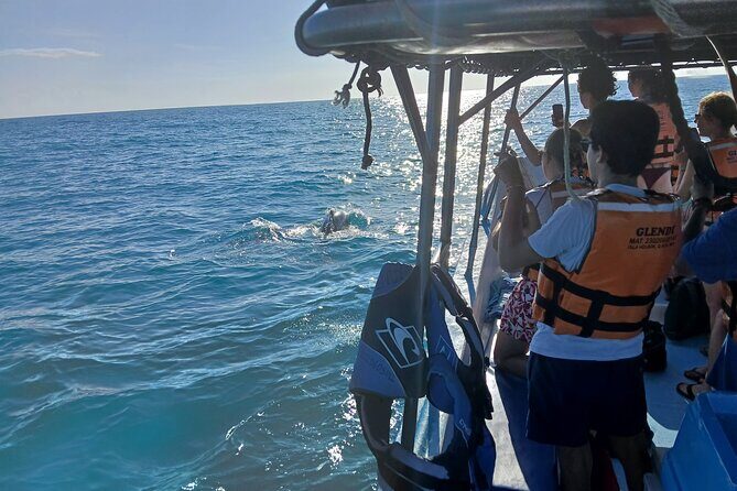 Swim with the Whale Shark on Holbox Island - The Main Event: Swimming with the Whale Sharks at Isla Blanca