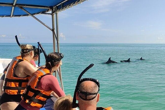 Swim with the Whale Shark on Holbox Island - Wrapping Up: Disembarkation at Muelle Tiburón Ballena