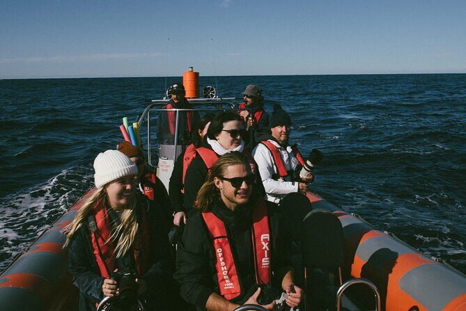 Swim with Whales Gold Coast - Practical Details for Travelers