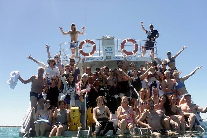 Swim with Wild Dolphins Day Tour - The Sum Up: Who Is This Tour Best For?