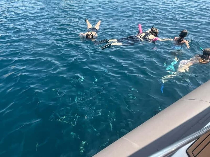 Swimming and snorkeling in the Frioul creeks - Who Will Love This Tour?