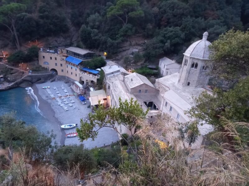 Swimming Cetacea Private Tour Boat Genova Portofino - What You Can Expect: A Balanced Look
