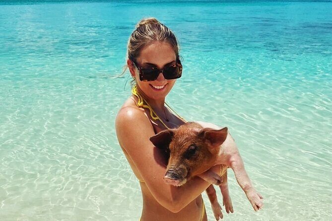 Swimming Pigs and Private Beach Club Escape - The Experience: Pros and Cons