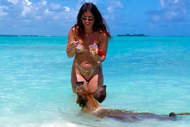 Swimming Pigs and Private Beach Club Escape - Who Will Love This Tour?