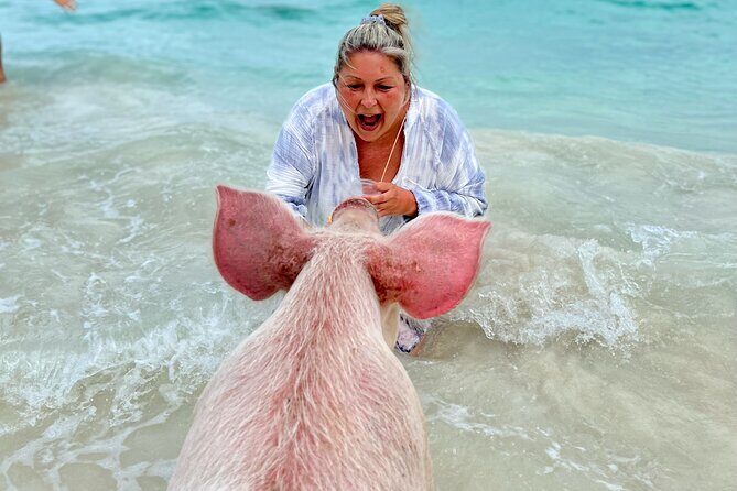 Swimming Pigs and Private Beach Club Escape - FAQs