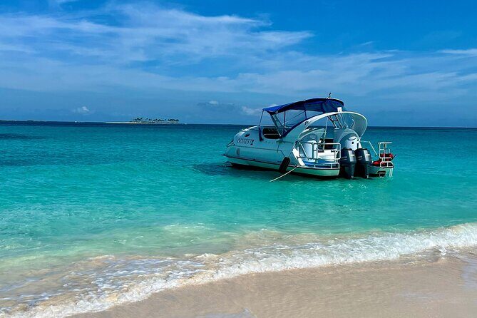 Swimming Pigs and Snorkeling Adventure on Athol Island - Pricing and Value: Is It Worth It?