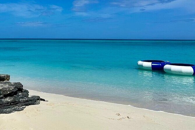 Swimming Pigs Encounter and Rose Island Beach Day Adventure - An In-Depth Look at the Tour