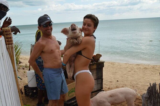 Swimming Pigs & Tour with Transportation to Rose Island - Who This Tour Is Best For