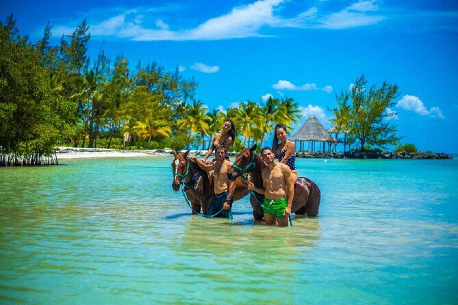 Swimming with Horses at the Beach from Punta Cana Free transportation - Introduction