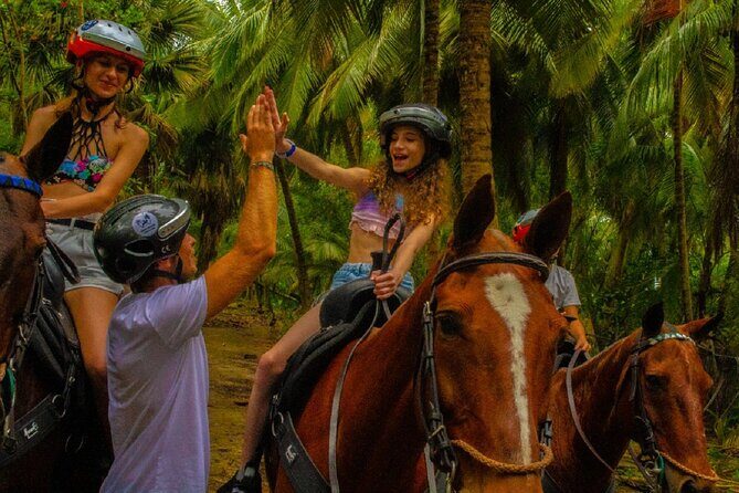 Swimming with Horses at the Beach from Punta Cana Free transportation - Key Points