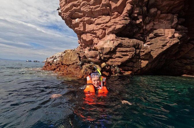 Swimming with sea lions in Isla Espiritu Santo, La Paz, Mexico - Who Should Consider Booking This Tour?