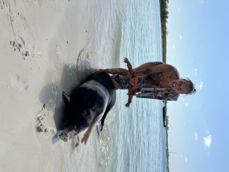 Swimming with the pigs, turtles and reef snorkeling!!! - Key Points