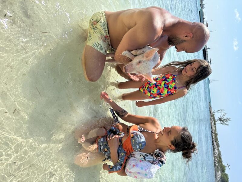 Swimming with the pigs, turtles and reef snorkeling!!! - Comparing to Similar Tours