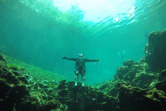 Swimming with turtles, 2 cenotes & gopro - A Detailed Look at What You Can Expect