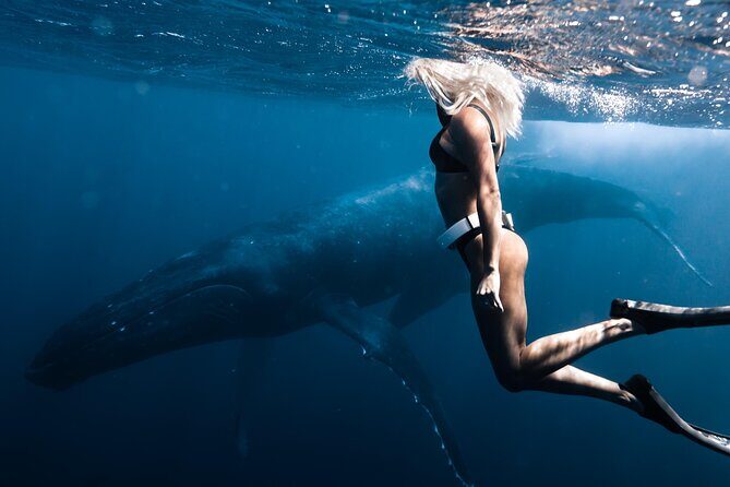 Swimming with Whales in Moorea (Half Day tour) - Authentic Experiences: What Travelers Are Saying
