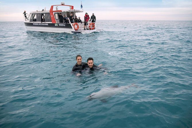 Swimming with Wild Dolphins in Akaroa - Practical Tips for Your Trip
