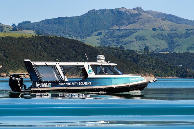 Swimming with Wild Dolphins in Akaroa - Who Is This Tour For?