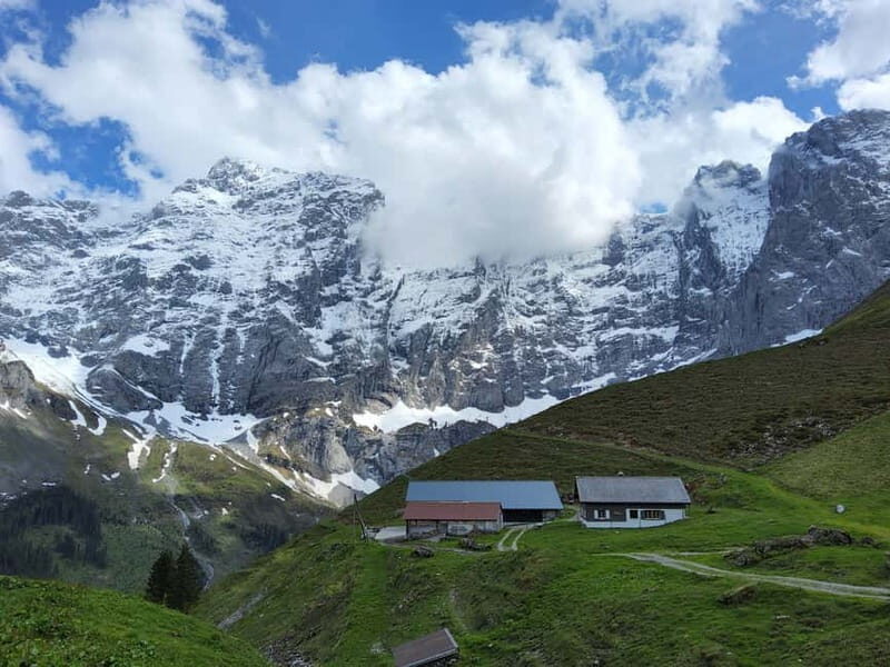 Swiss Alps: 7d Customized Trekking Tours Far From The Crowds - Final Thoughts