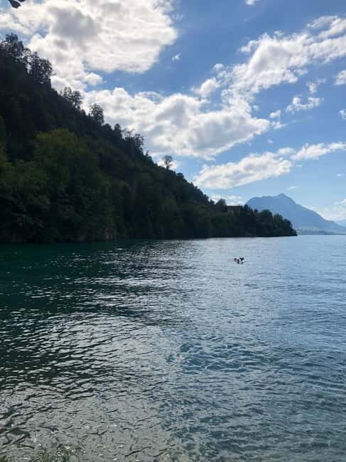 Swiss Highlights: Guided Zürich, Lucerne and Basel tour - Price and Value Analysis: Is it Worth It?