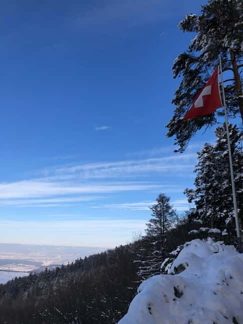 Swiss Highlights: Guided Zürich, Lucerne and Basel tour - Authentic Traveler Perspectives